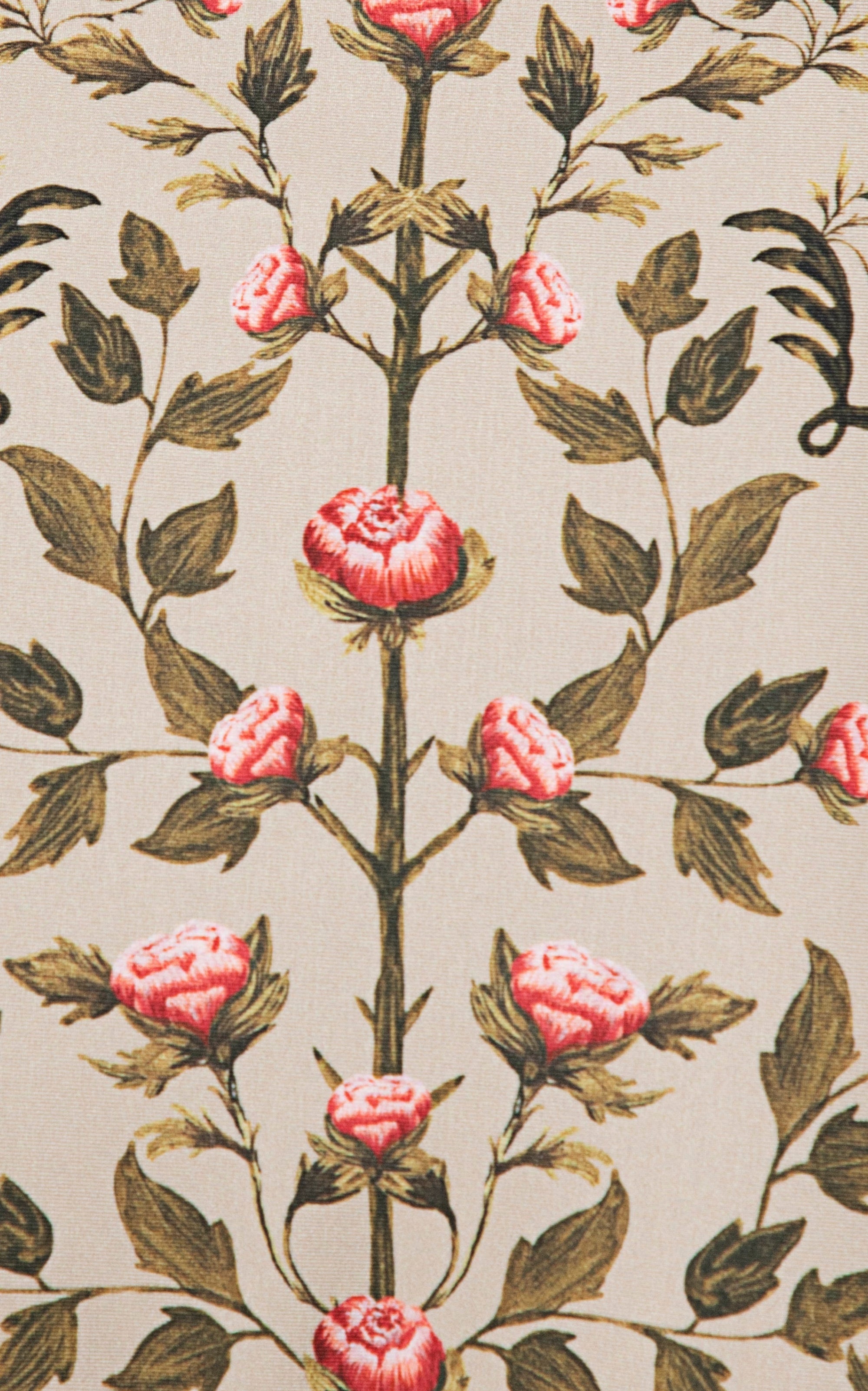 Vera Sueño Bikini Bottom | Agua by Agua Bendita – AGUA by Agua Bendita ...